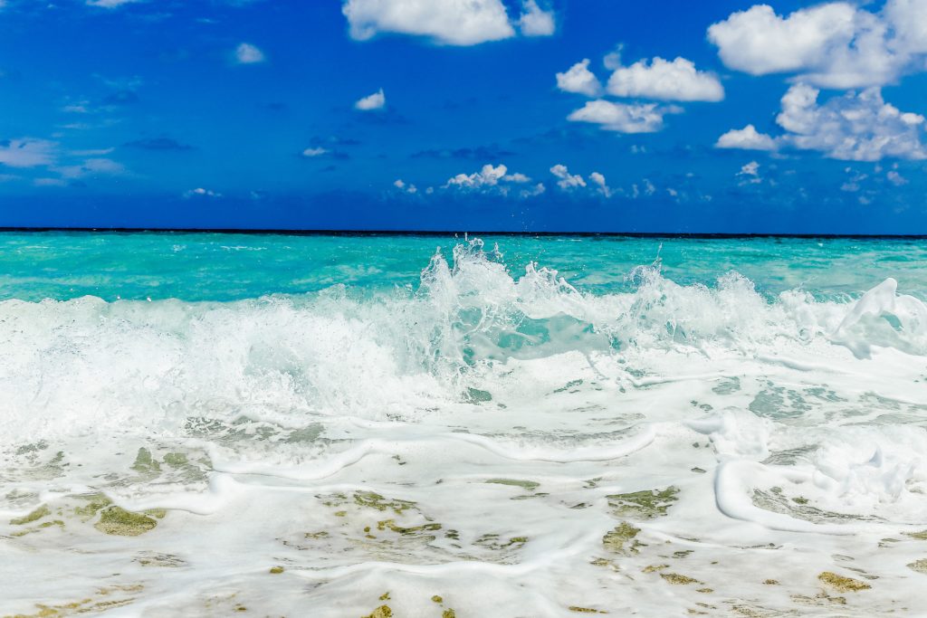 Conférence de presse du Forum de la Mer Bizerte 2019 - La Saison Bleue